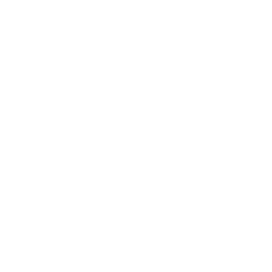 Wiz - Upright Security
